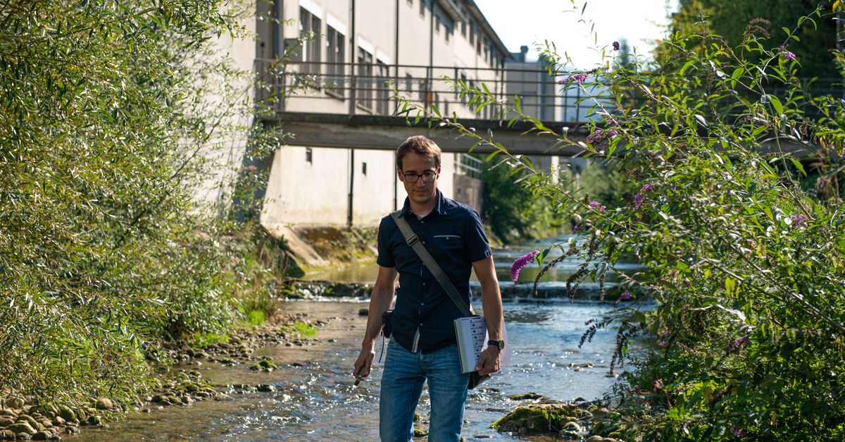 Lüssel – Erkenntnisse einer Revitalisierung - GEOTEST