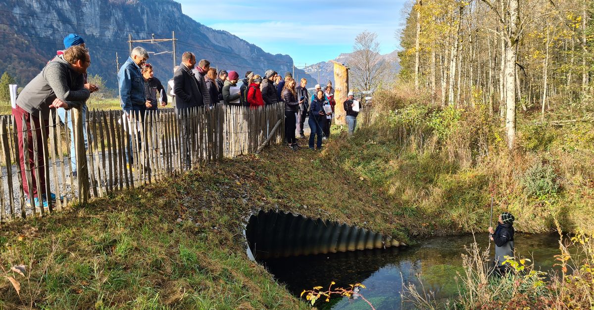Die GEOTEST AG bildet sich weiter - GEOTEST